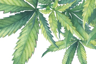 Cannabis Use Associated With Higher Sedation Doses for Gastroscopy