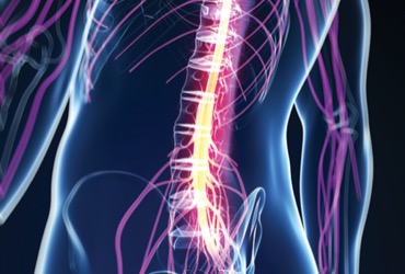 PILD, Open Decompression for Treatment of Lumbar Spinal Stenosis: 2 ...