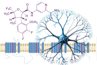 Selective Inhibition of NaV1.8 With VX-548 for Acute Pain